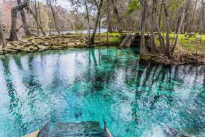 12 Gorgeous Florida Rivers You Must See - Florida Trippers