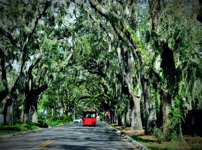 11 Best Saint Augustine Ghost Tours to Creep You Out - Florida Trippers