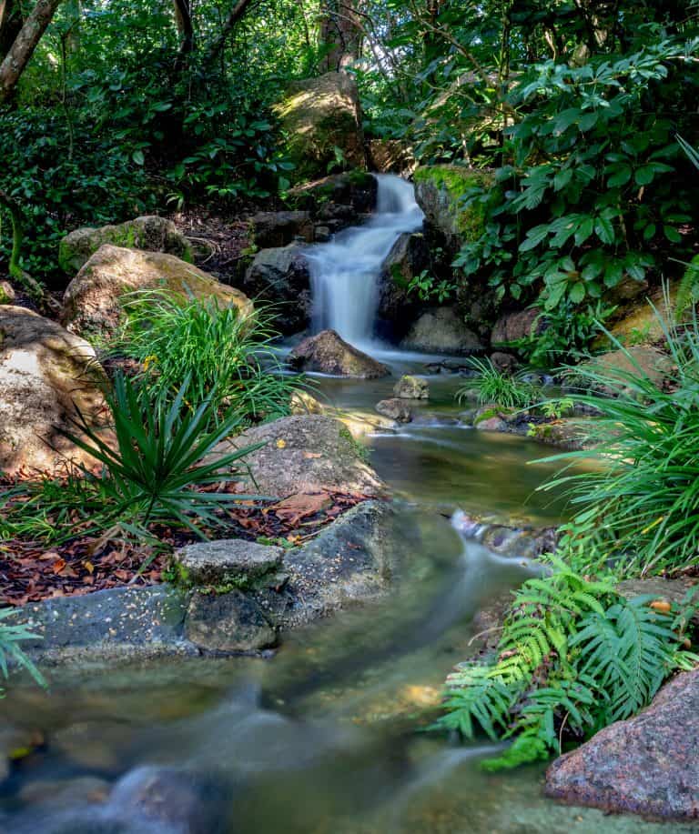 9 Prettiest Waterfalls in Florida - Florida Trippers