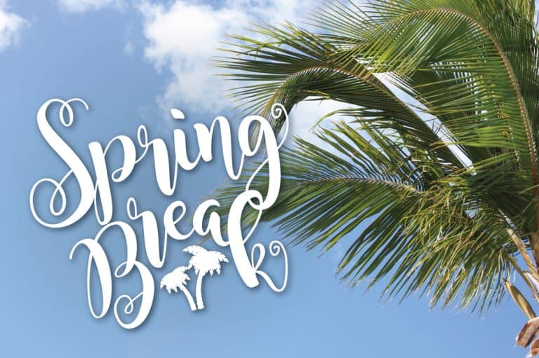15 Best Places For Spring Break In Florida - Florida Trippers