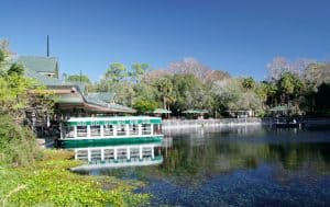 14 Best Natural Springs Near Orlando You Must Visit - Florida Trippers