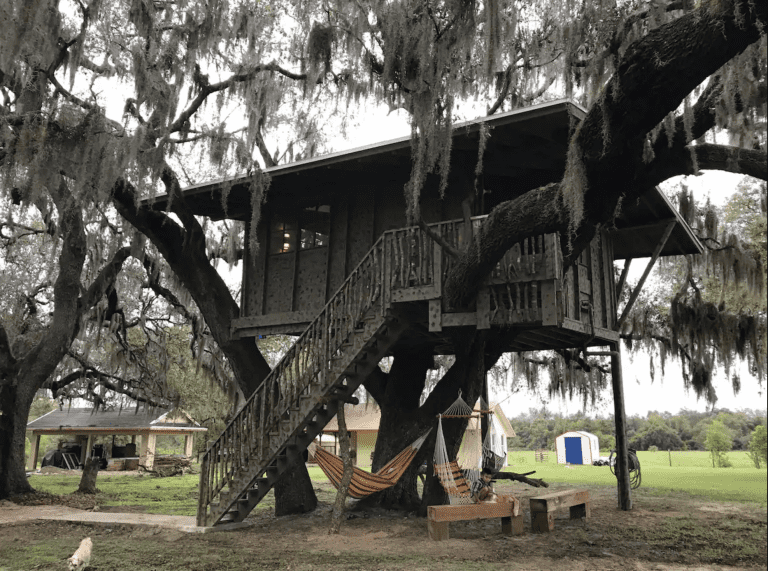 16 Best Treehouses In Florida for The Perfect Retreat - Florida Trippers