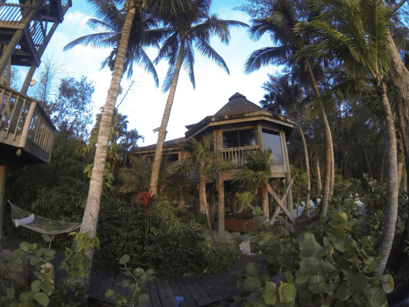 16 Best Treehouses In Florida for The Perfect Retreat - Florida Trippers