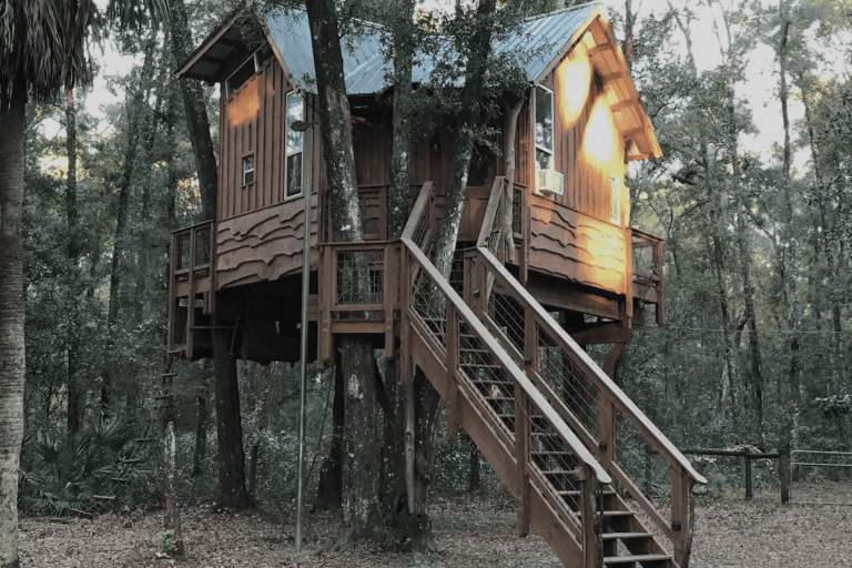 16 Best Treehouses In Florida for The Perfect Retreat - Florida Trippers