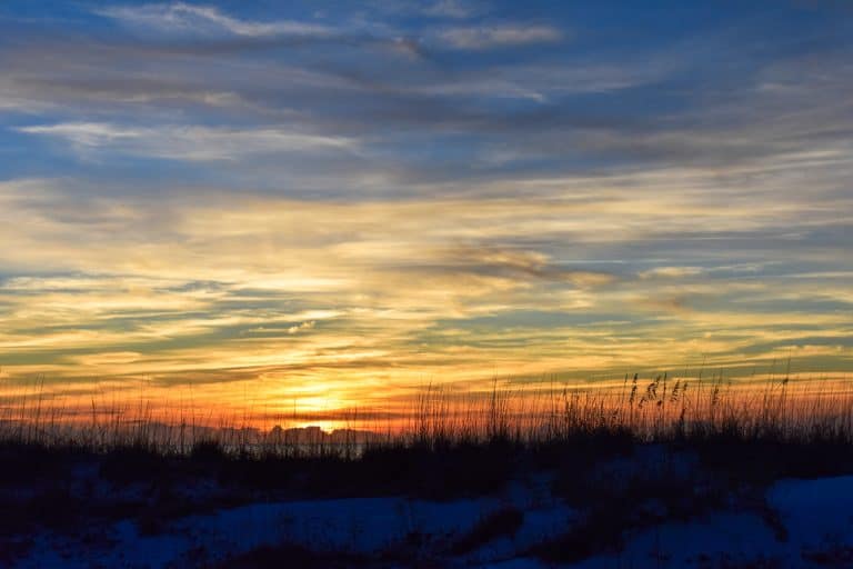 11 Dreamy Places To Go Stargazing In Florida - Florida Trippers