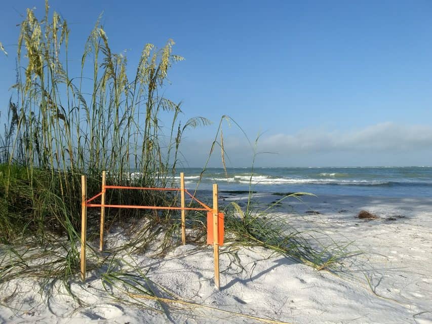 14 Fun Things To Do In Siesta Key You Can't Miss!!! - Florida Trippers