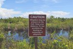 8 Things To Know Before Driving Alligator Alley In Florida - Florida ...