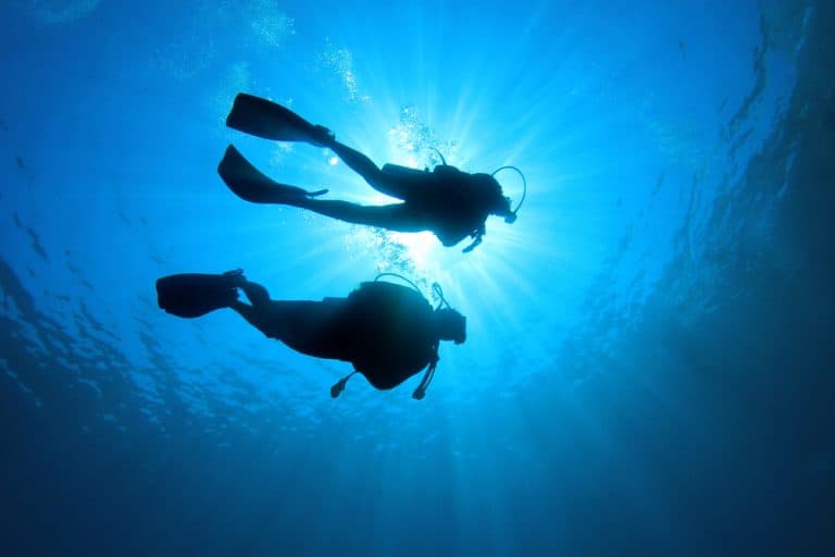 15 Best Places For Scuba Diving In Florida - Florida Trippers