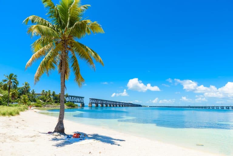 15 Best Day Trips From Miami Worth The Effort - Florida Trippers