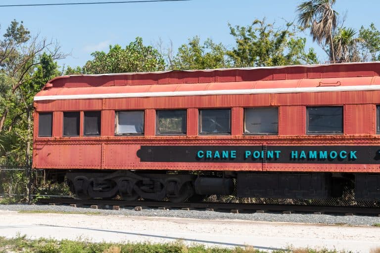 14 Best Things To Do In Marathon, Florida Keys - Florida Trippers