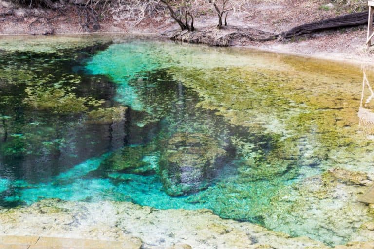 12 Best Natural Springs In North Florida - Florida Trippers