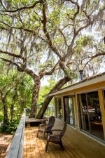 15 Best Treehouses In Florida for The Perfect Retreat - Florida Trippers