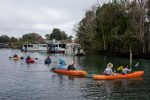 12 Best Things To Do In Crystal River FL You Shouldn't Miss - Florida ...