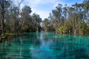 12 Best Things To Do In Crystal River FL You Shouldn't Miss - Florida ...