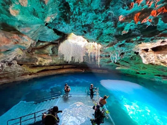 Tips for Devil's Den Prehistoric Springs: A Hidden Florida Oasis ...