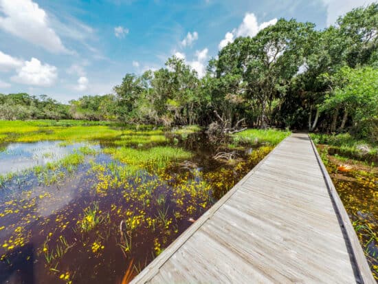 15 Best Things To Do On The West Coast Of Florida (+ Hidden Gems ...