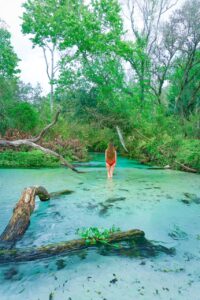 Kings Landing Florida: Kayaking Crystal Clear Emerald Cut - Florida ...