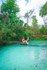 Kings Landing Florida: Kayaking Crystal Clear Emerald Cut - Florida ...
