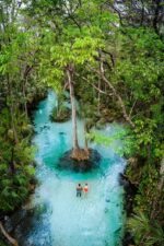 Kings Landing Florida: Kayaking Crystal Clear Emerald Cut - Florida ...