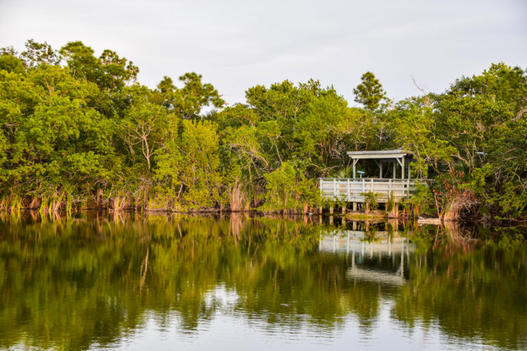 10 Best Things To Do In The Lower Keys You Shouldn't Miss! - Florida ...
