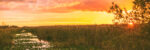 12 Best Things To Do In The Upper Keys You Shouldn't Miss! - Florida ...