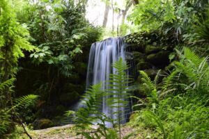 Best Time To Visit Florida: When To Go And When To Avoid - Florida Trippers