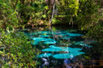 6 Things To Know Before Visiting Florida In February - Florida Trippers
