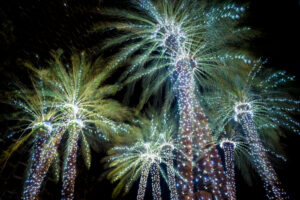 7 Things to Know Before Visiting Florida in November - Florida Trippers