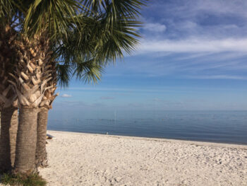 10 Best Things to Do in Cedar Key FL You Shouldn't Miss - Florida Trippers
