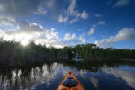 8 Best Places For Kayaking In Miami (And Nearby!) - Florida Trippers