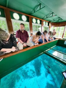Silver Springs State Park: Things to Do, Glass Bottom Boats + Tips - Florida Trippers
