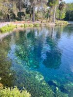 Silver Springs State Park: Things to Do, Glass Bottom Boats + Tips ...
