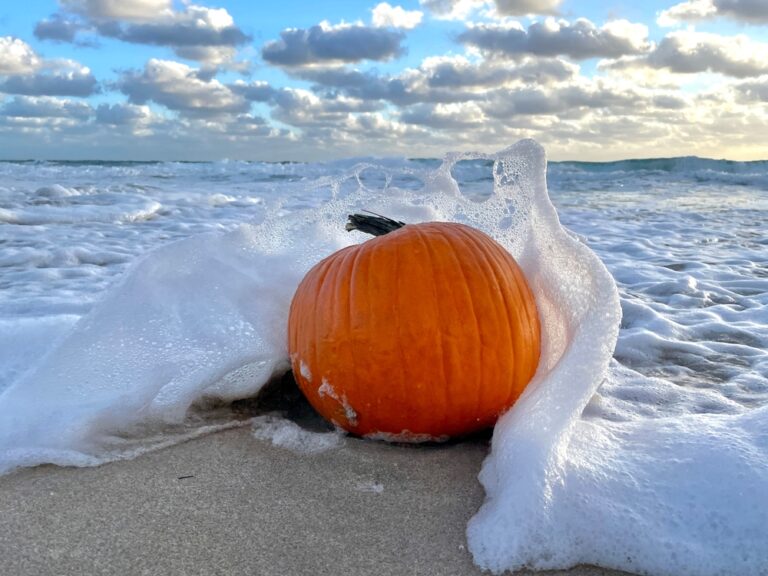 Florida In Fall: What To Do And Where to Go - Florida Trippers